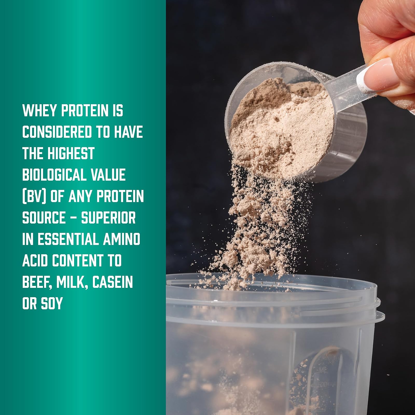 1.8 lb whey protein tub