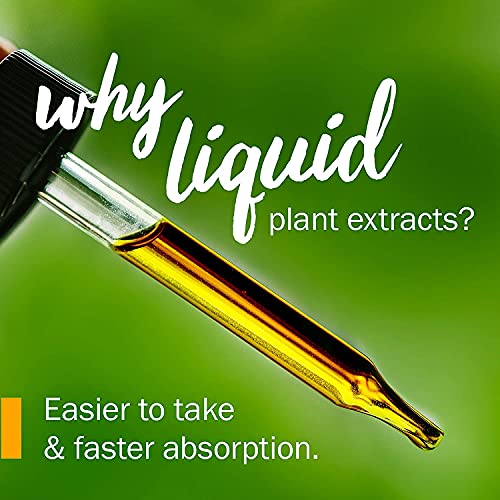 1 Fl Oz echinacea extract