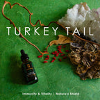 1 fl oz Turkey Tail tincture