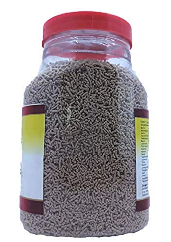 1 Kg Wook Brahmi Plus for mental clarity