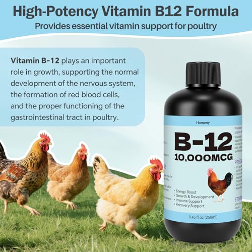 1 L Vitamin B12 for daily wellness