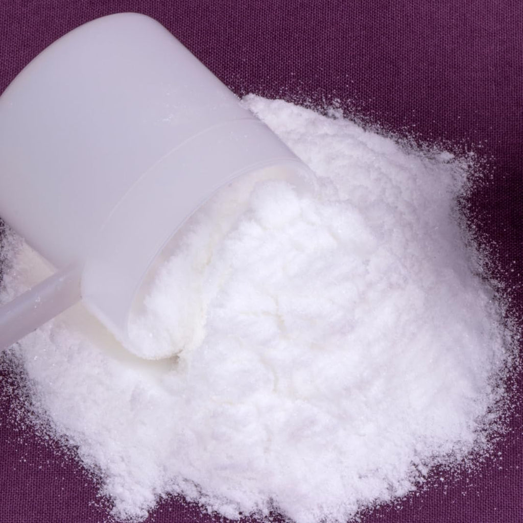 1 lb Acetyl L-Carnitine powder for energy