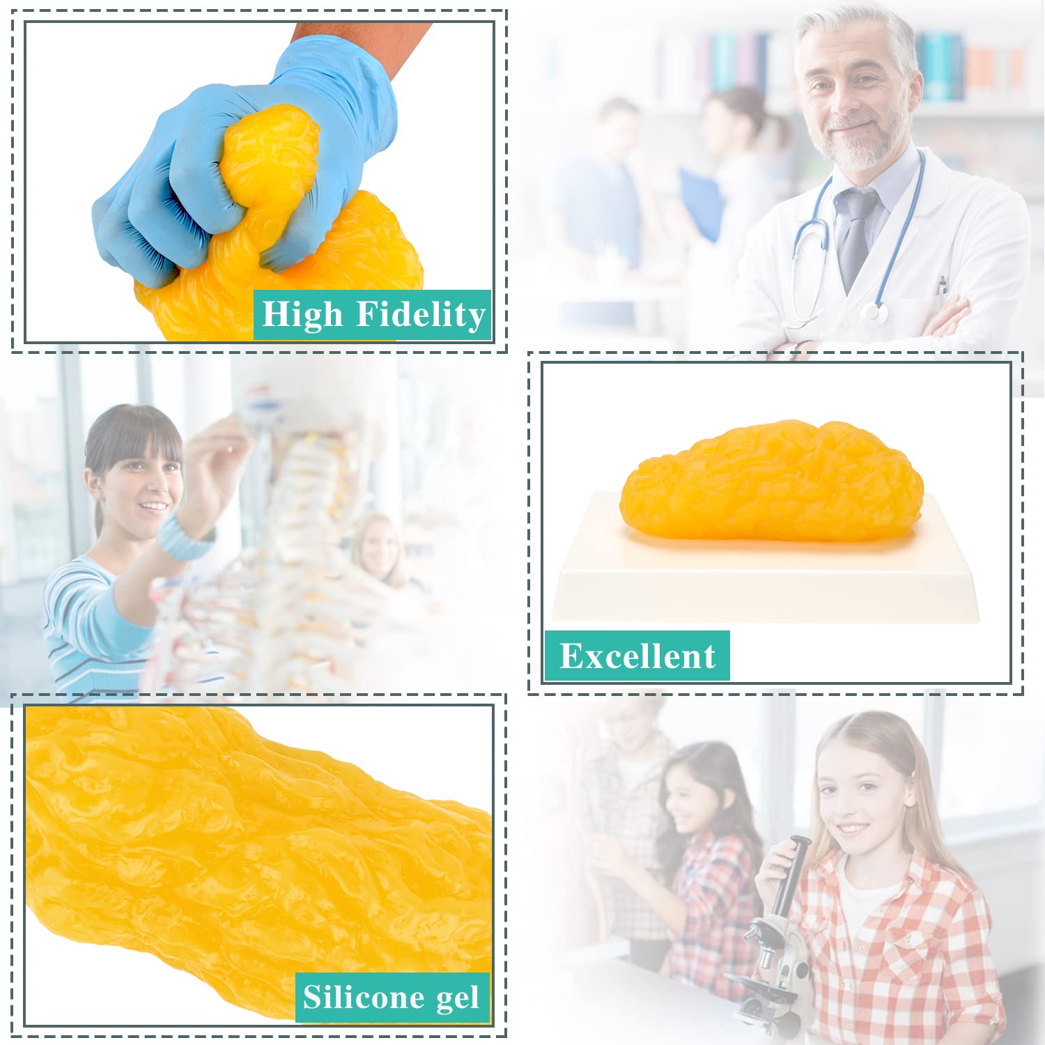 1 lb fat model for training