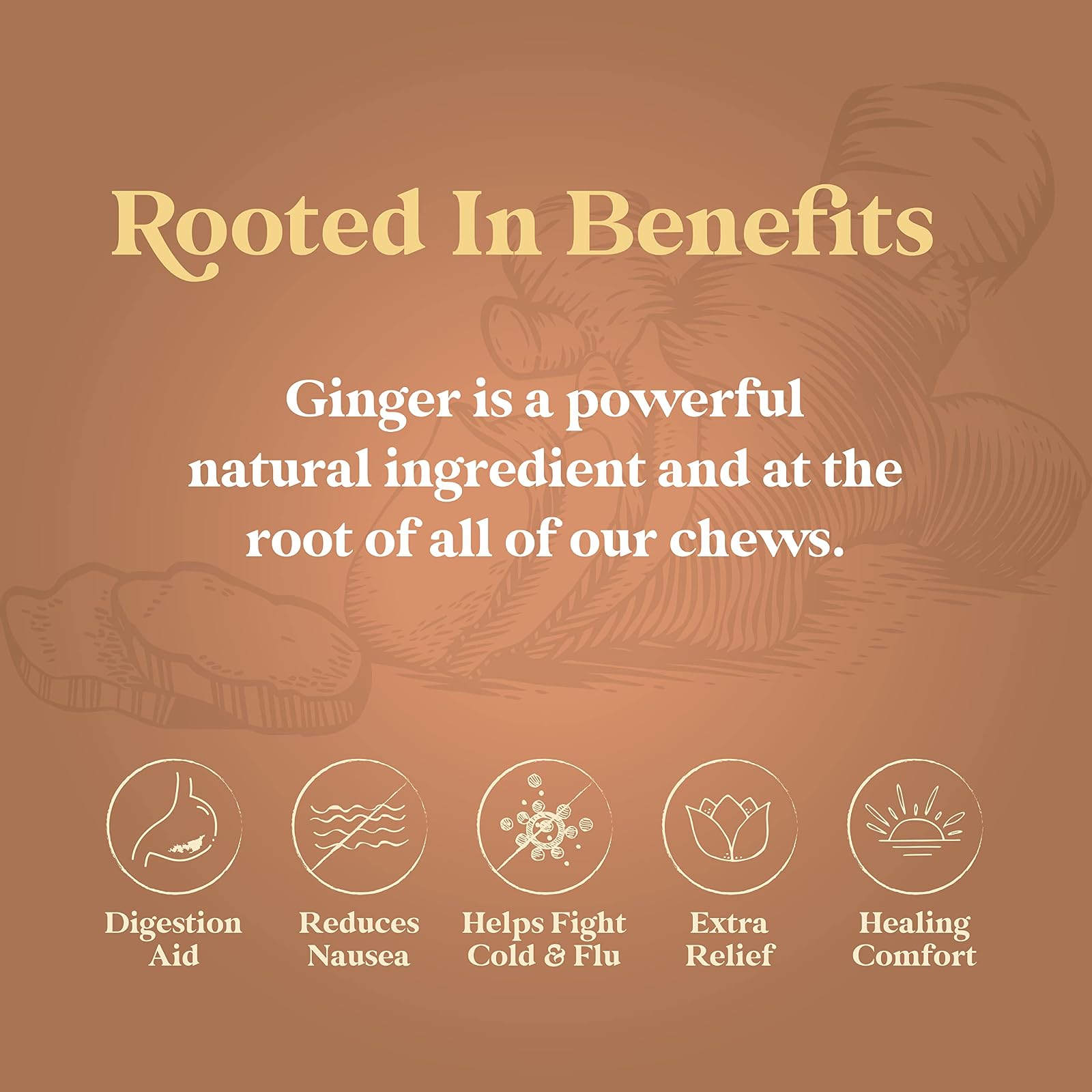 1 lb ginger chews for wellness