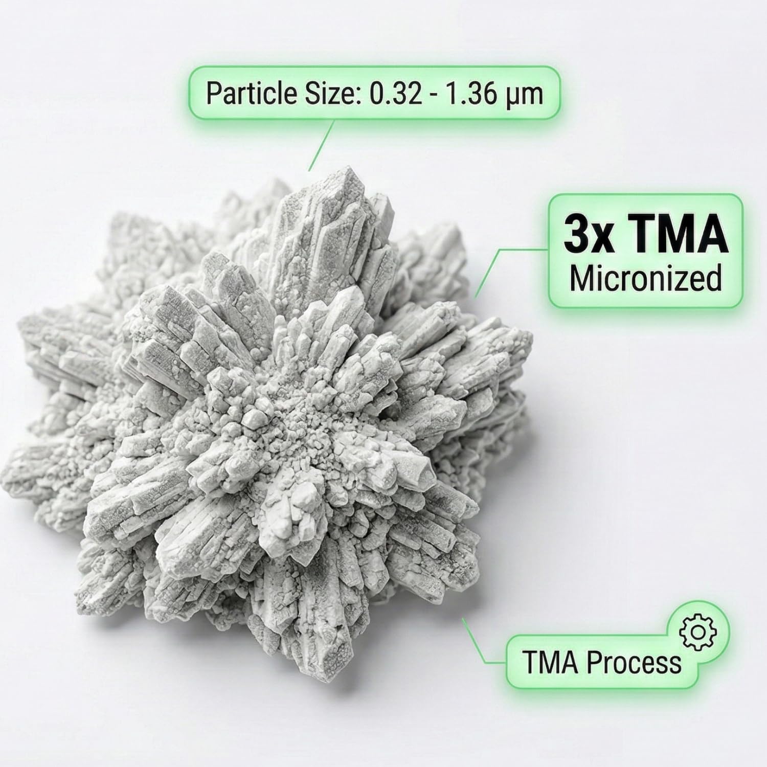 1 lb zeolite powder for weight loss