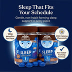1 mg Good Day Chocolate Melatonin