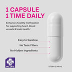 1 mg L-Methylfolate for energy