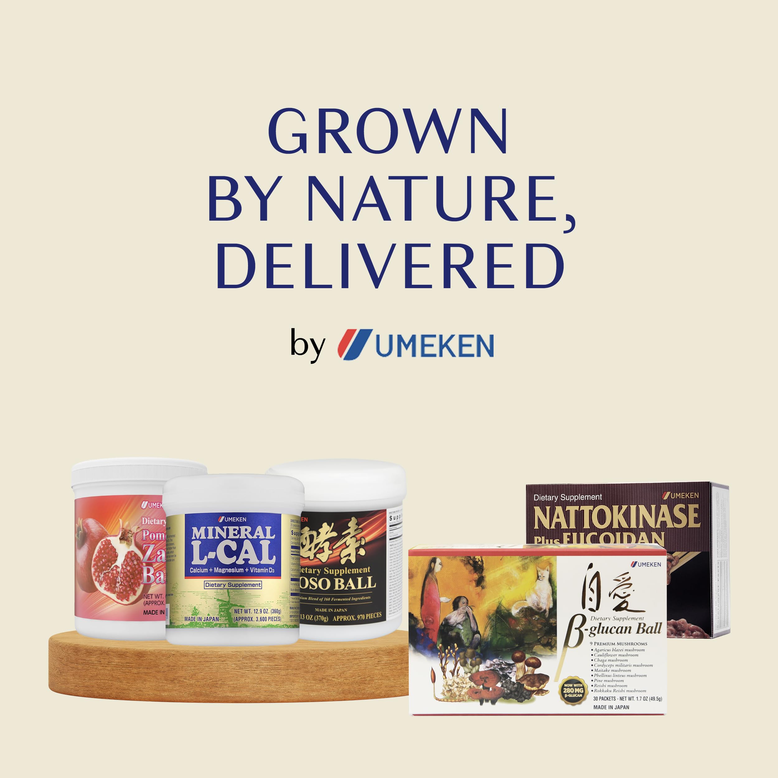 1 month supply of mushroom wellness