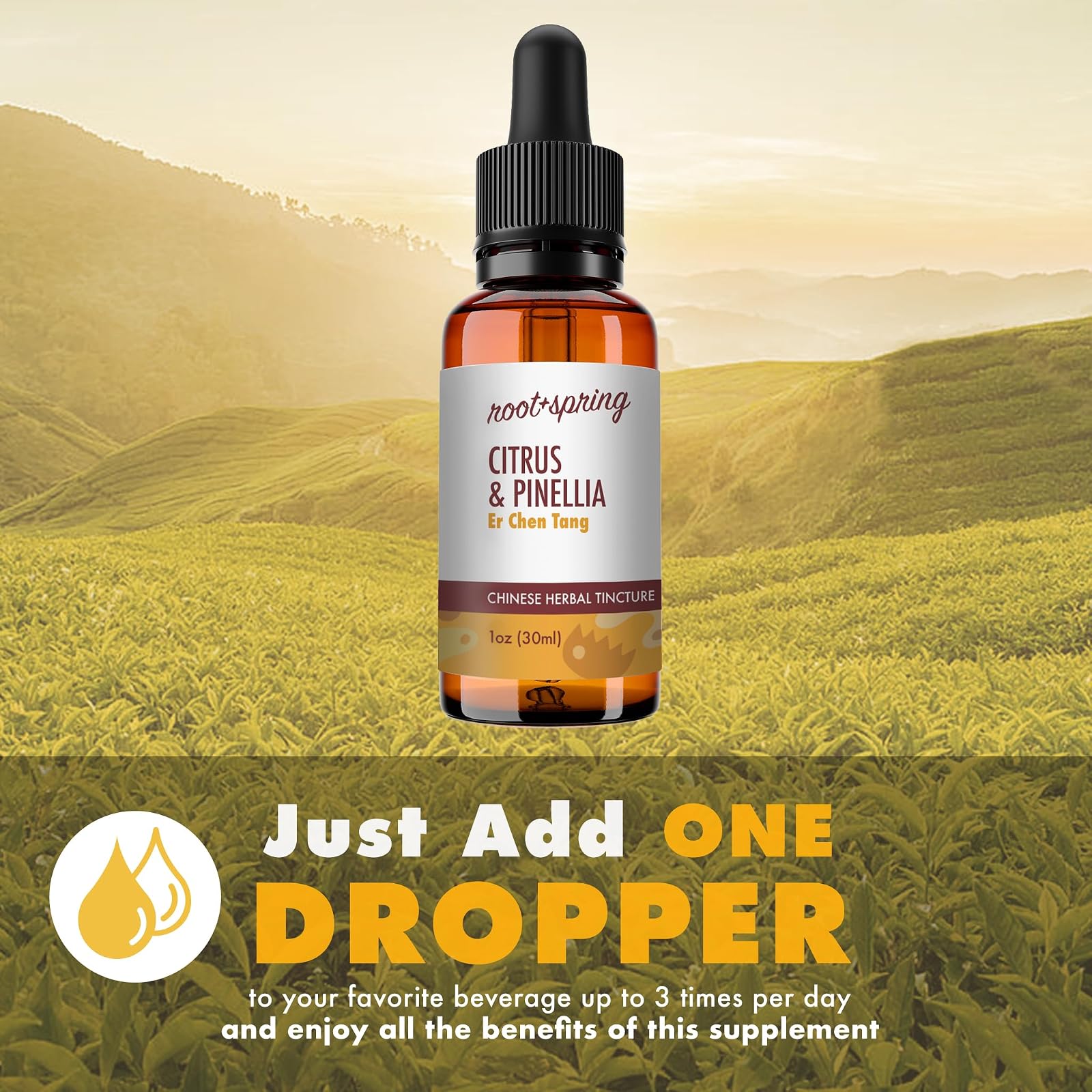 1 oz Citrus & Pinellia tincture use