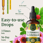 1 oz Echinacea tincture bottle