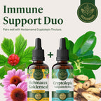 1 oz Echinacea tincture for health