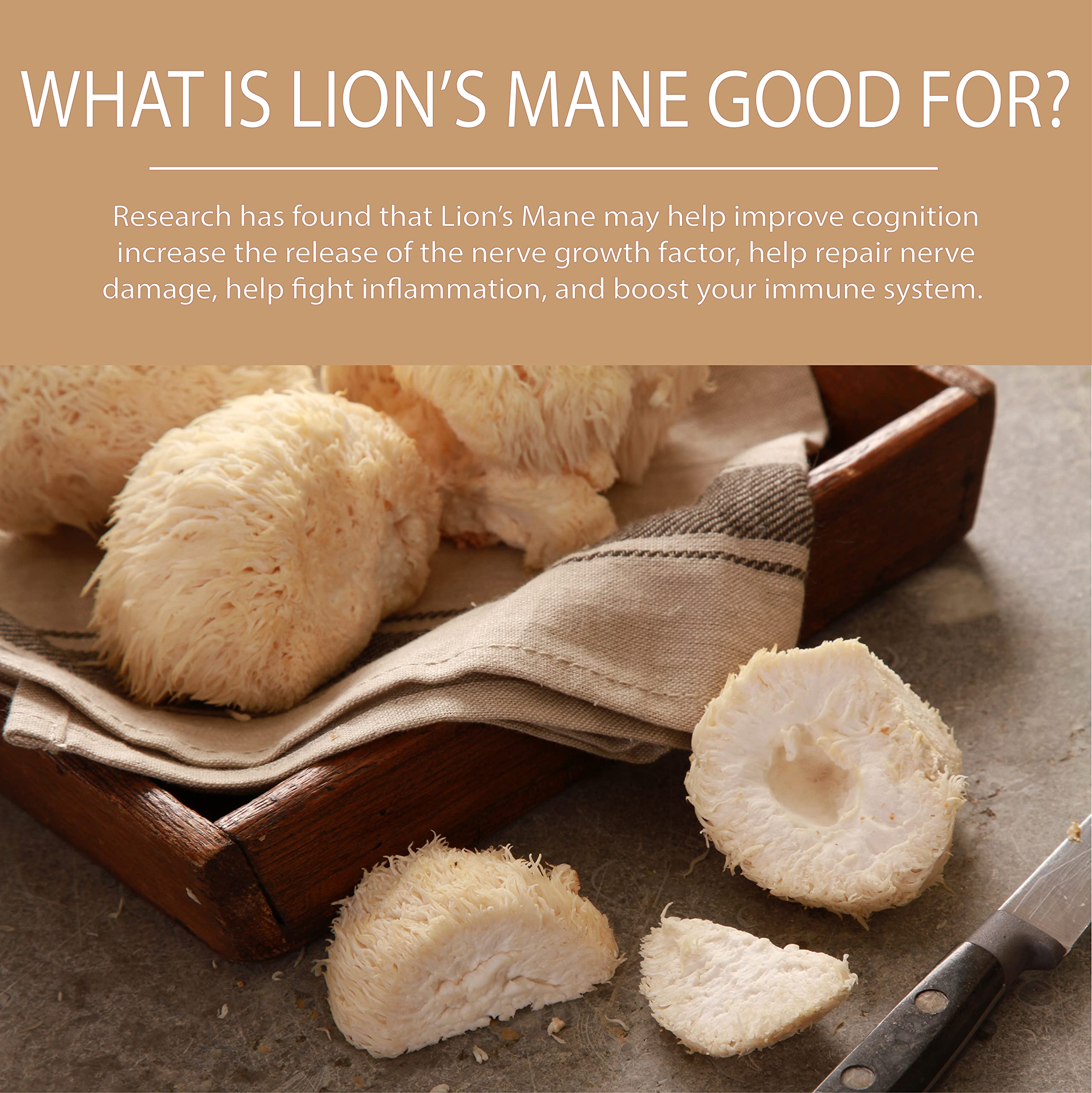 10,000 mg Lion's Mane for brain health
