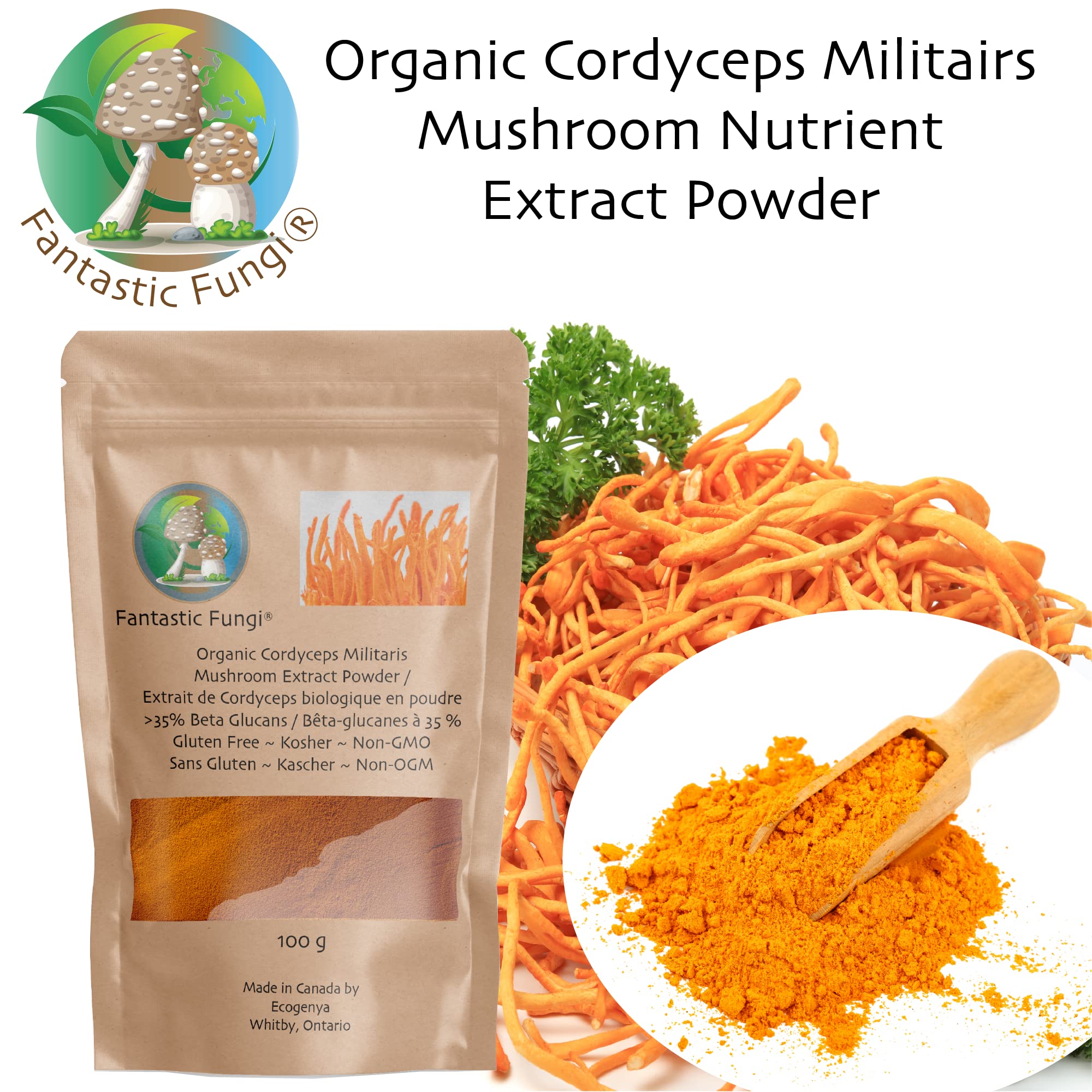 10:1 concentrated cordyceps powder benefits