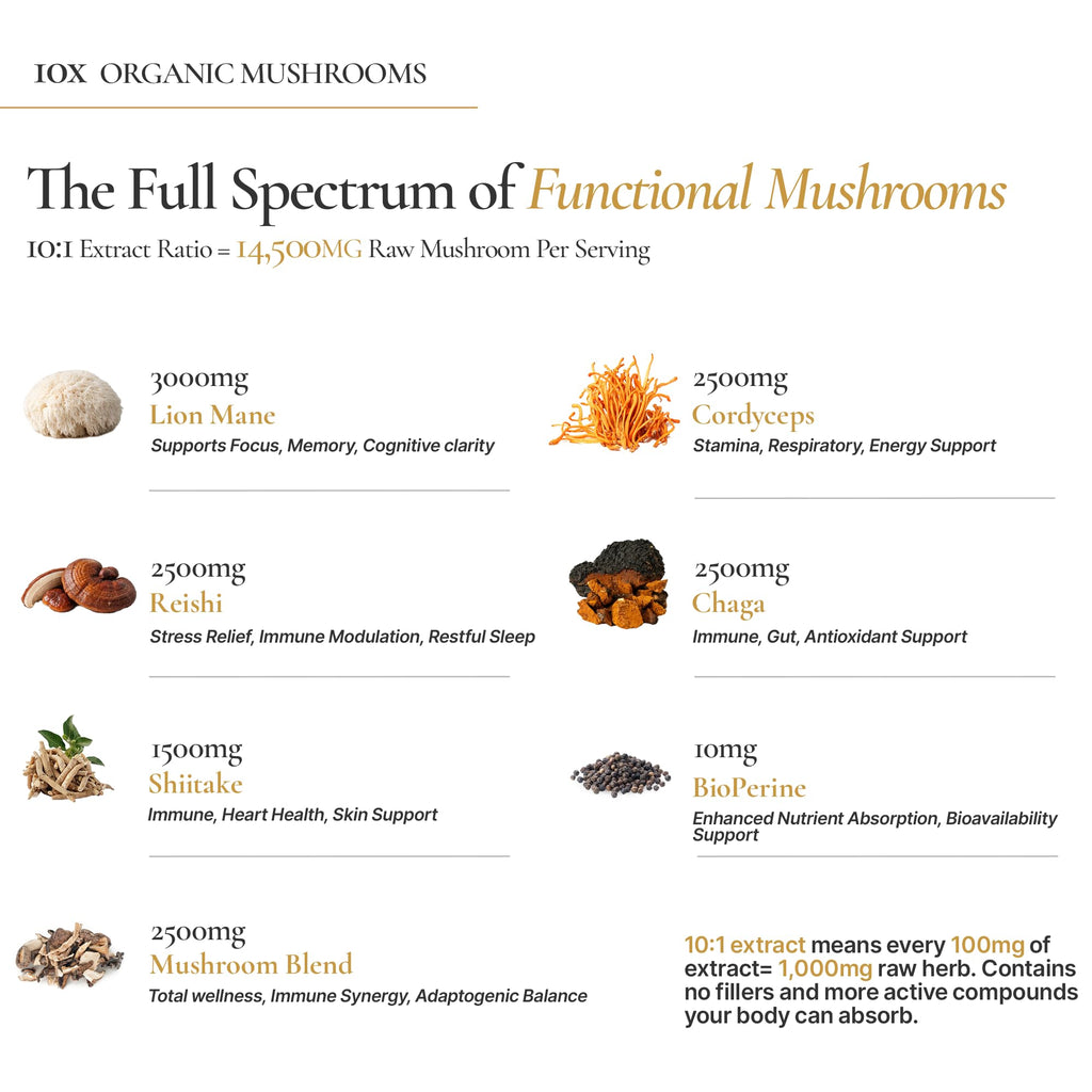 10:1 mushroom extract for maximum potency