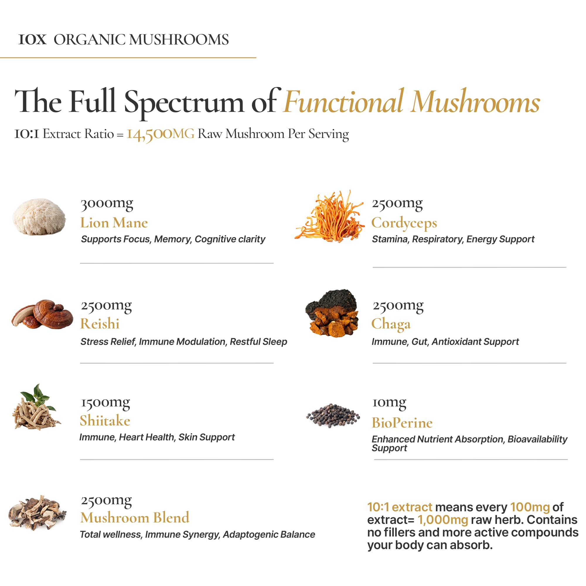 10:1 mushroom extract for maximum potency