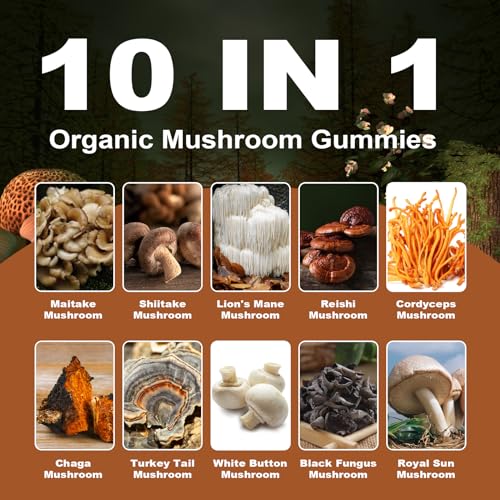 10 blend mushrooms for vitality