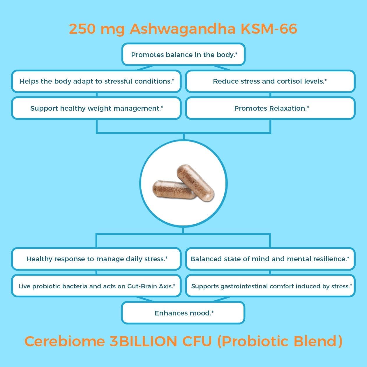 10 capsules for daily wellness