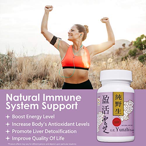 10 capsules of Yunzhi mushrooms