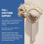 10 g protein collagen powder blend