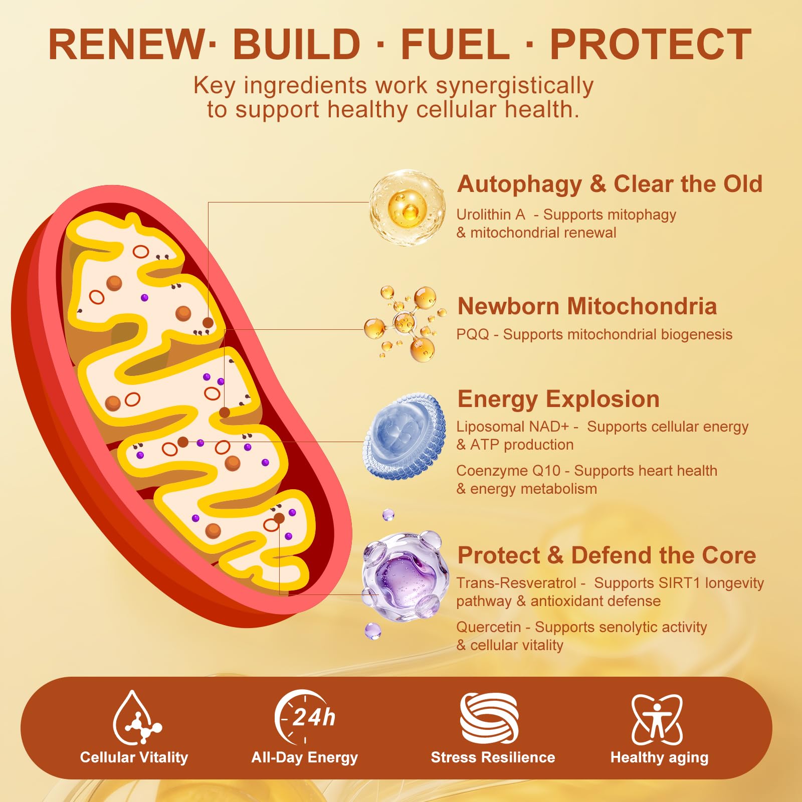 10-in-1 antioxidant complex for health