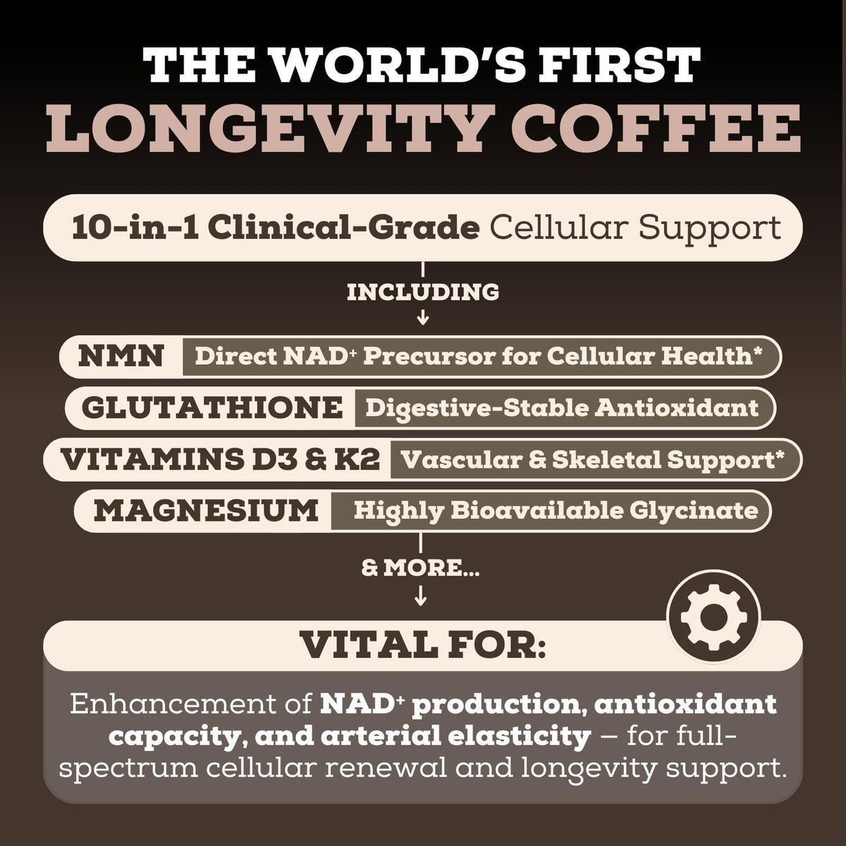 10-in-1 multivitamin coffee mix