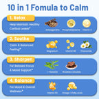 10 in 1 multivitamins for daily wellness