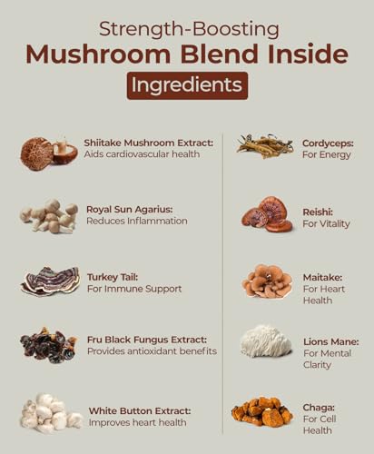 10-in-1 mushroom blend for wellness