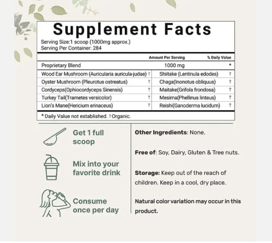 10 in 1 mushroom supplement benefits