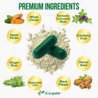 10 in 1 wormwood capsules for health
