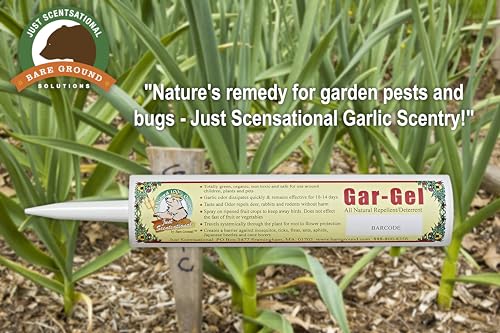 10-inch tube garlic solution