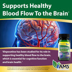 10 mg Cavintona capsules for wellness