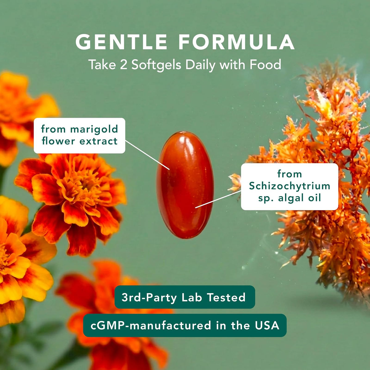 10 mg lutein for daily eye support