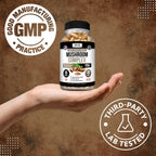 10 mushroom blend for cognitive health