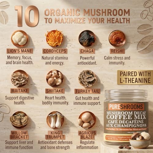 10-mushroom superblend coffee benefits