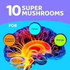 10 super mushrooms in each gummy