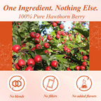 100 bags of hawthorn tea