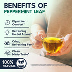 100 bags of Hiihone peppermint tea