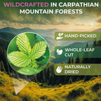 100 bags of raspberry leaf tea