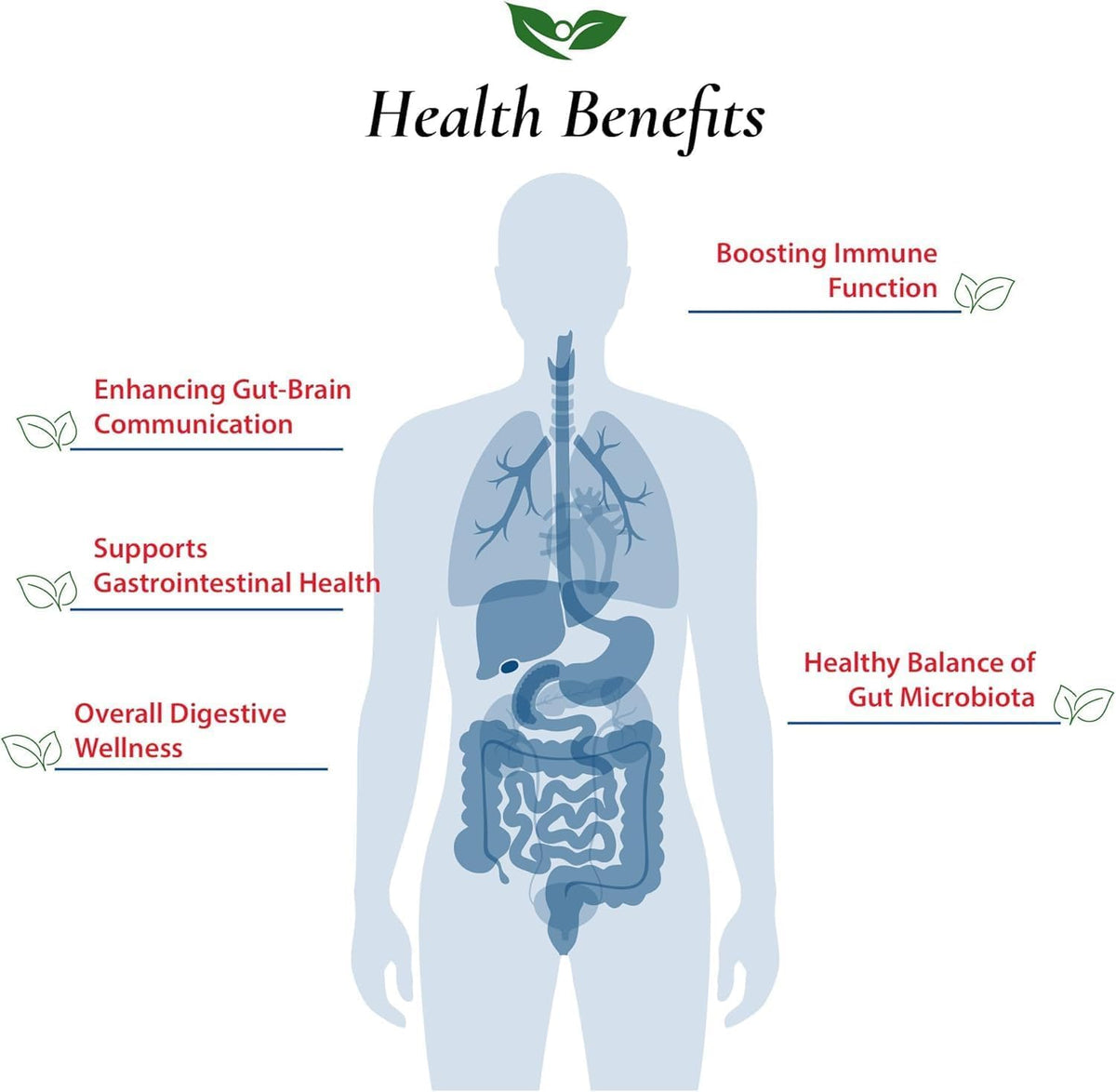 100 billion CFU gut health formula