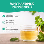 100 biodegradable peppermint tea bags