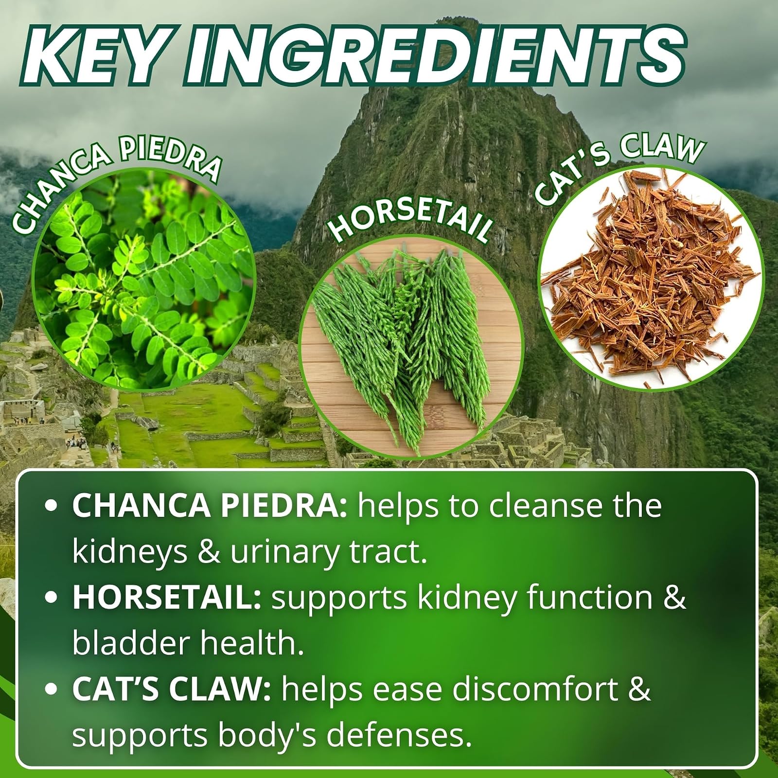 100 capsules for daily cleansing