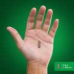 100 capsules for daily wellness