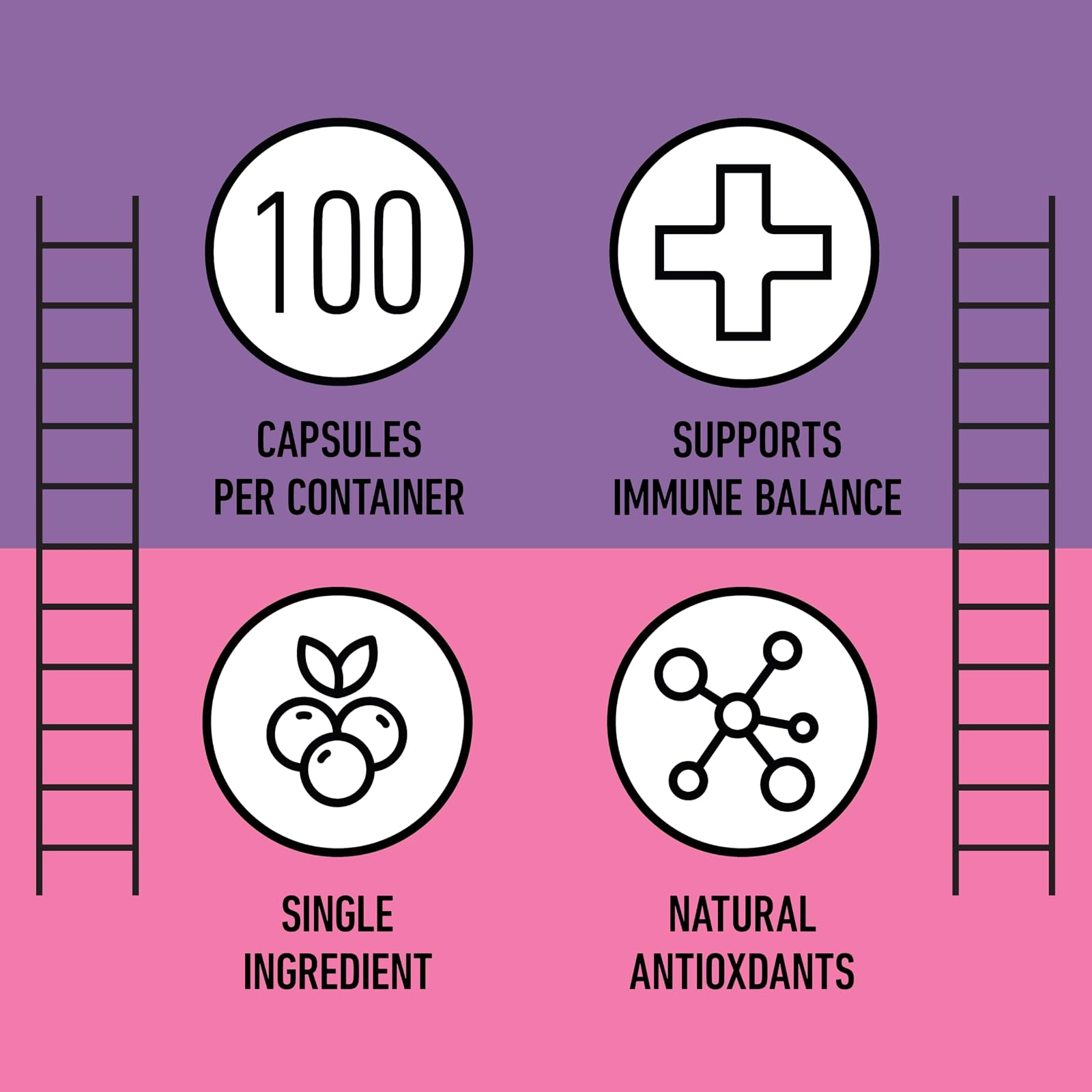 100 capsules of elderberry extract