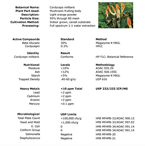 100% cordyceps powder health benefits