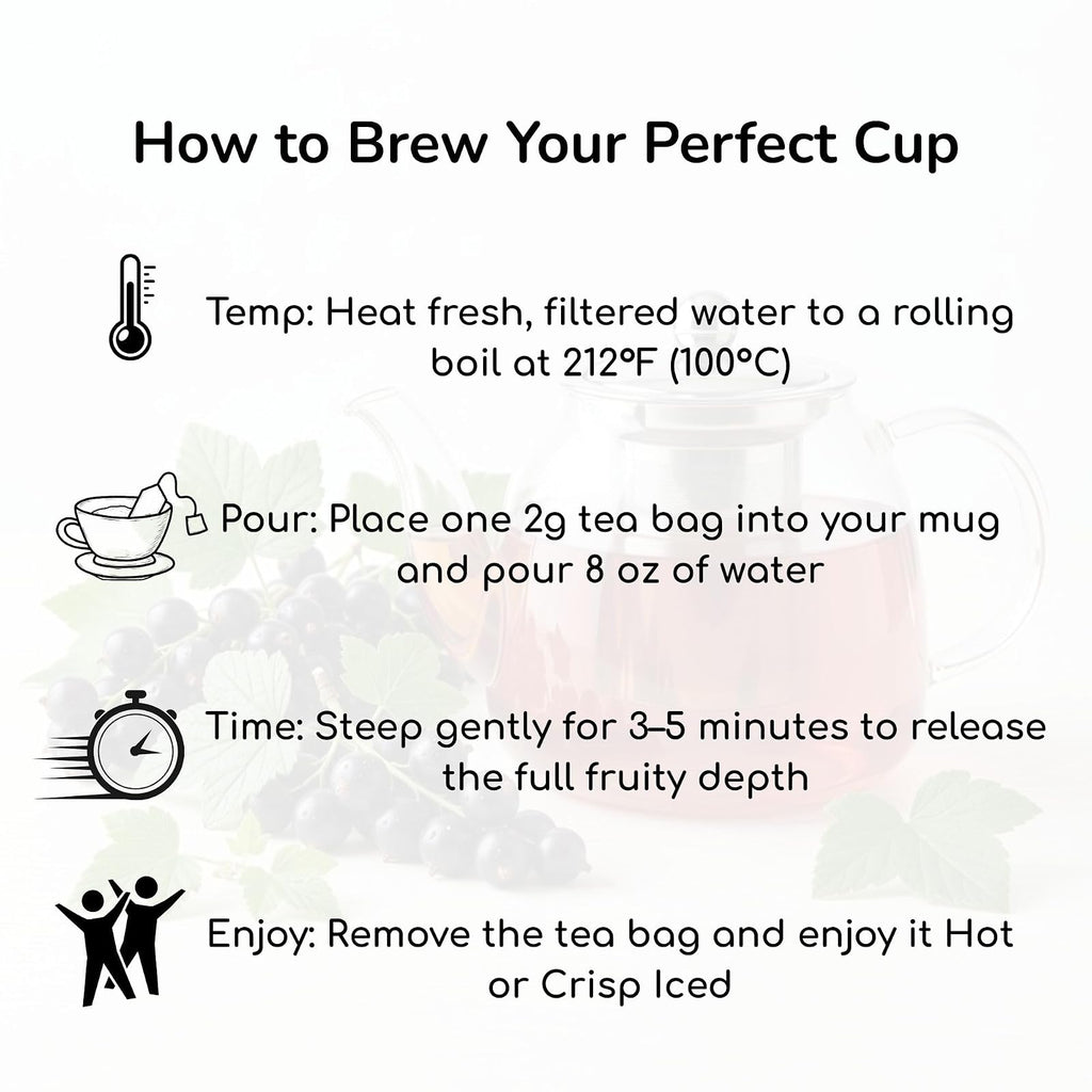 100 count blackcurrant tea for convenience