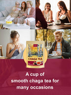 100 count Chaga tea bags value pack