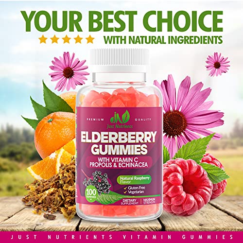 100 count elderberry gummy supplements