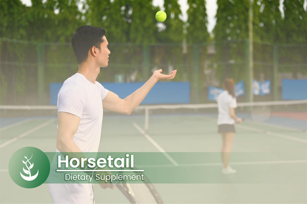 100 count horsetail capsules value