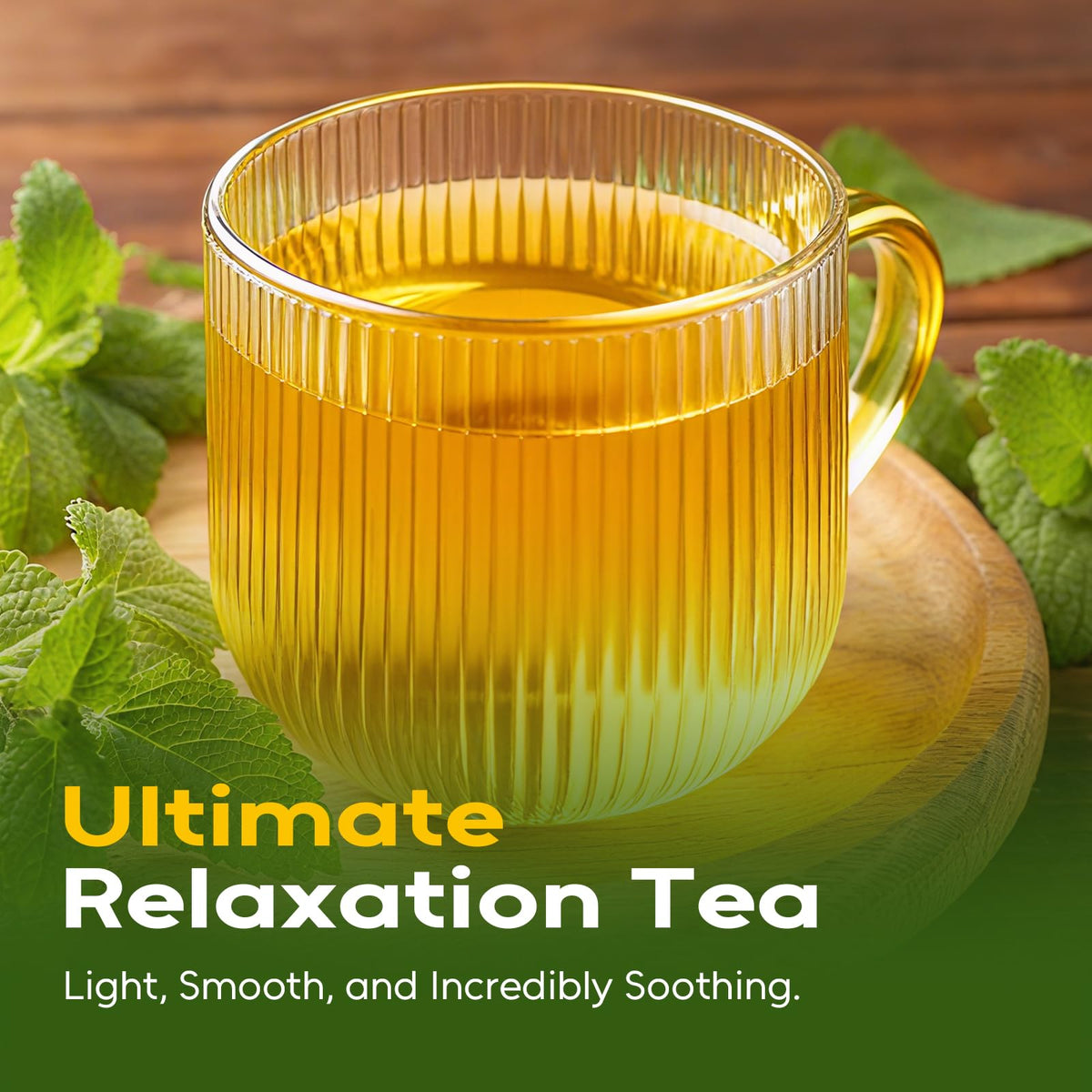 100 count lemon balm tea bags