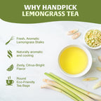 100 count lemongrass tea bags